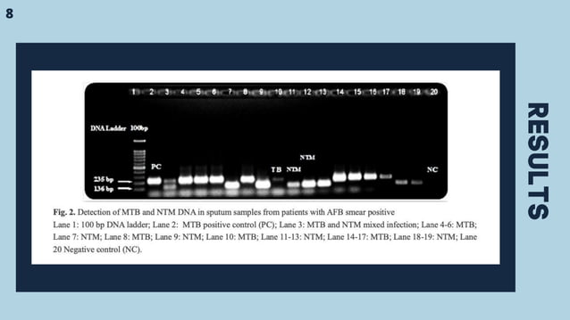 Simultaneous Detection And Differentiation Of Mycobacterium Tuberculosis And Nontuberculous