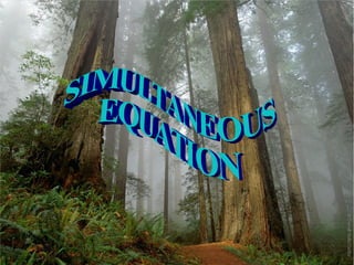 Simultaneous equation | ODP