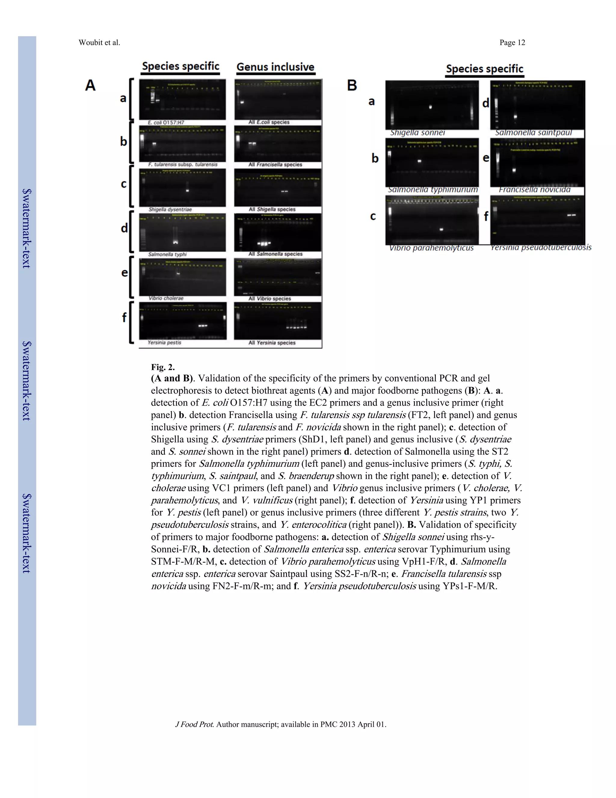 Simultaneous, specific and real time detection of biothreat and ...