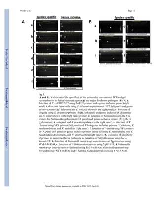 Simultaneous, specific and real time detection of biothreat and ...
