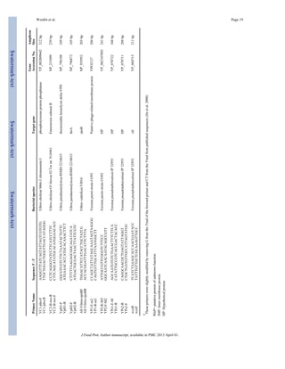 Simultaneous, specific and real time detection of biothreat and ...