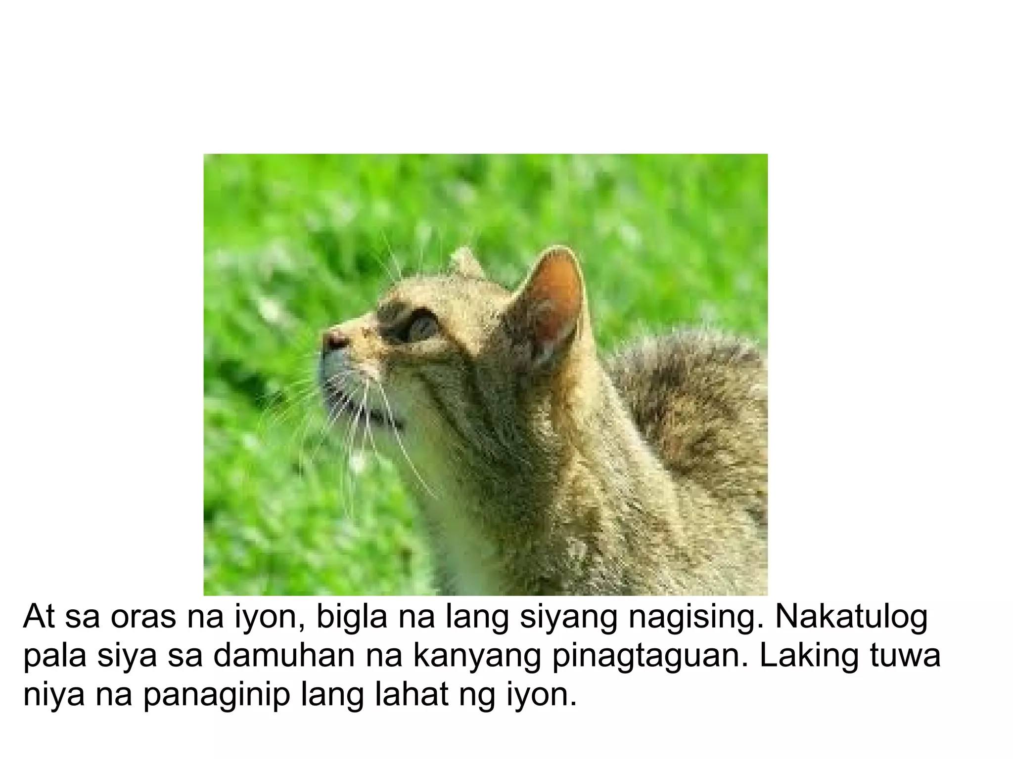 Si muning ang_kuting | PPT