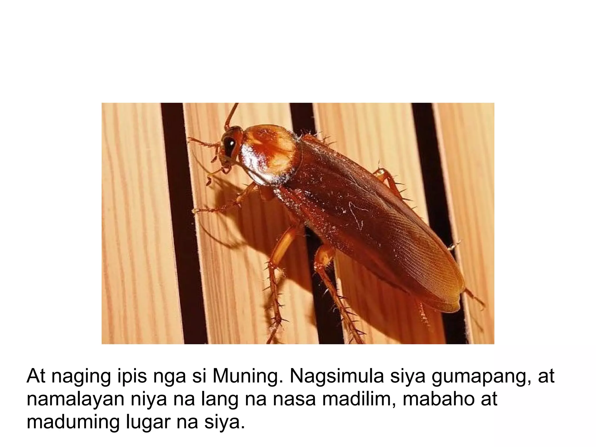 Si muning ang_kuting | PPT