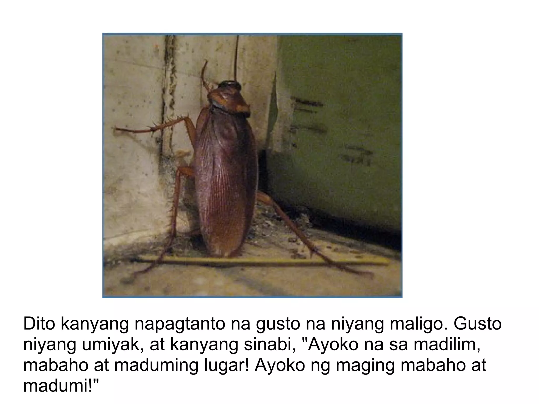 Si muning ang_kuting | PPT