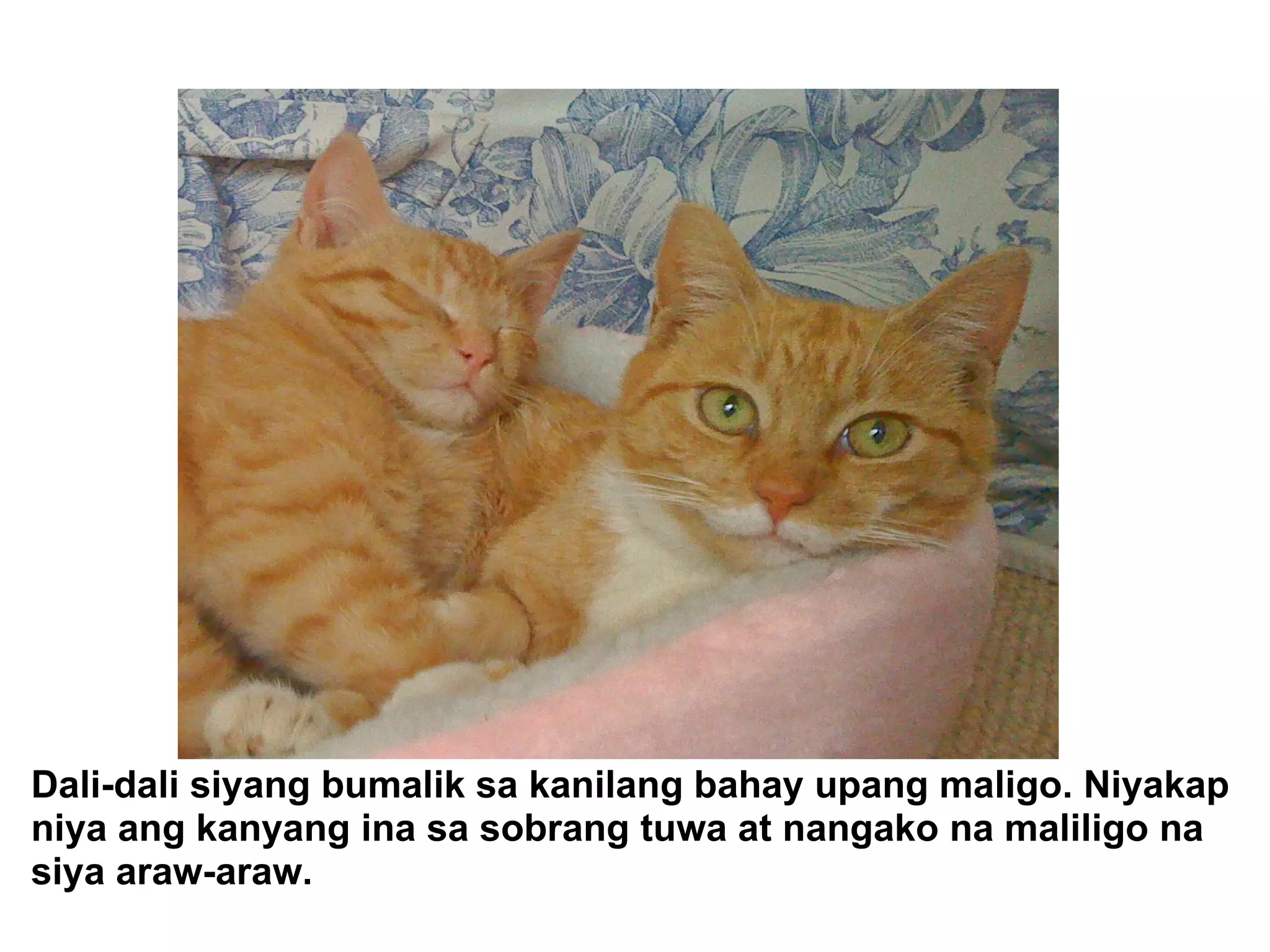 Si muning ang_kuting | PPT