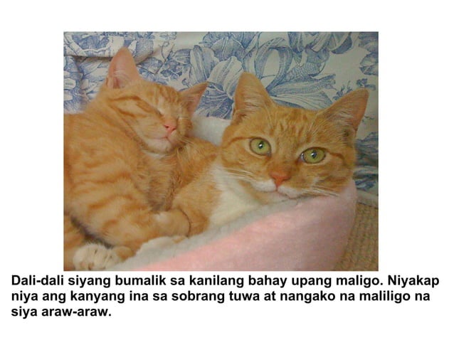 Si muning ang_kuting | PPT