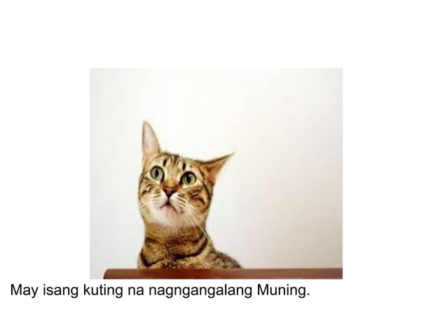 Si muning ang_kuting | PPT