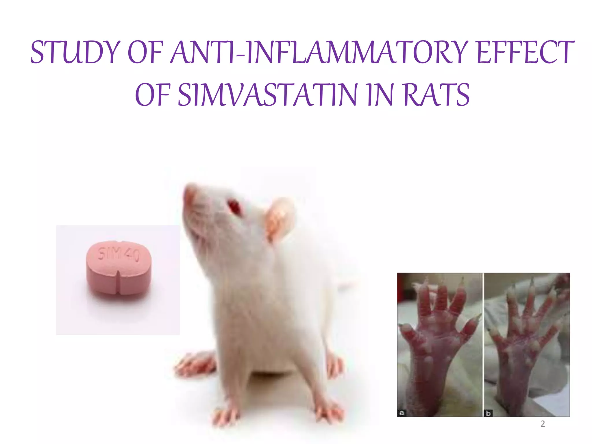 Simvastatin anti inflammatory effect | PPTX