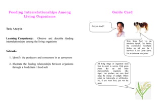 Food Chain /Food Web | DOCX