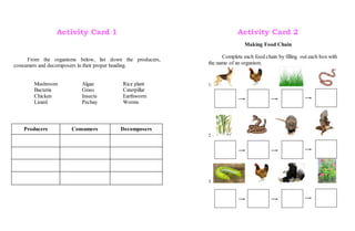 Food Chain /Food Web | DOCX