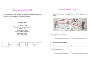 Food Chain /Food Web | DOCX