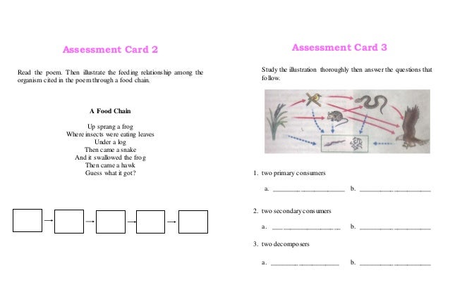 Food Chain /Food Web