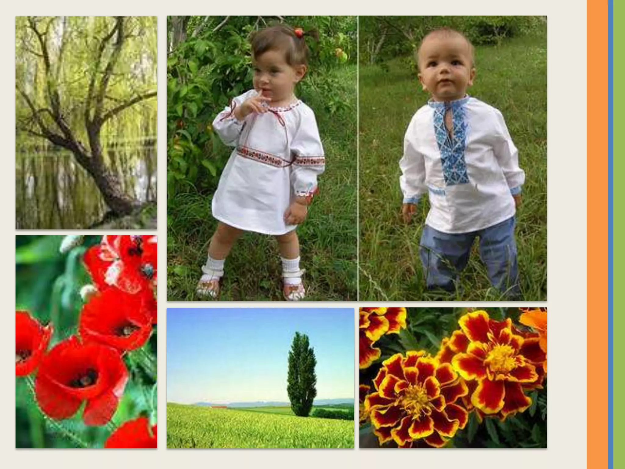 Simvoli ukrajini | PPT