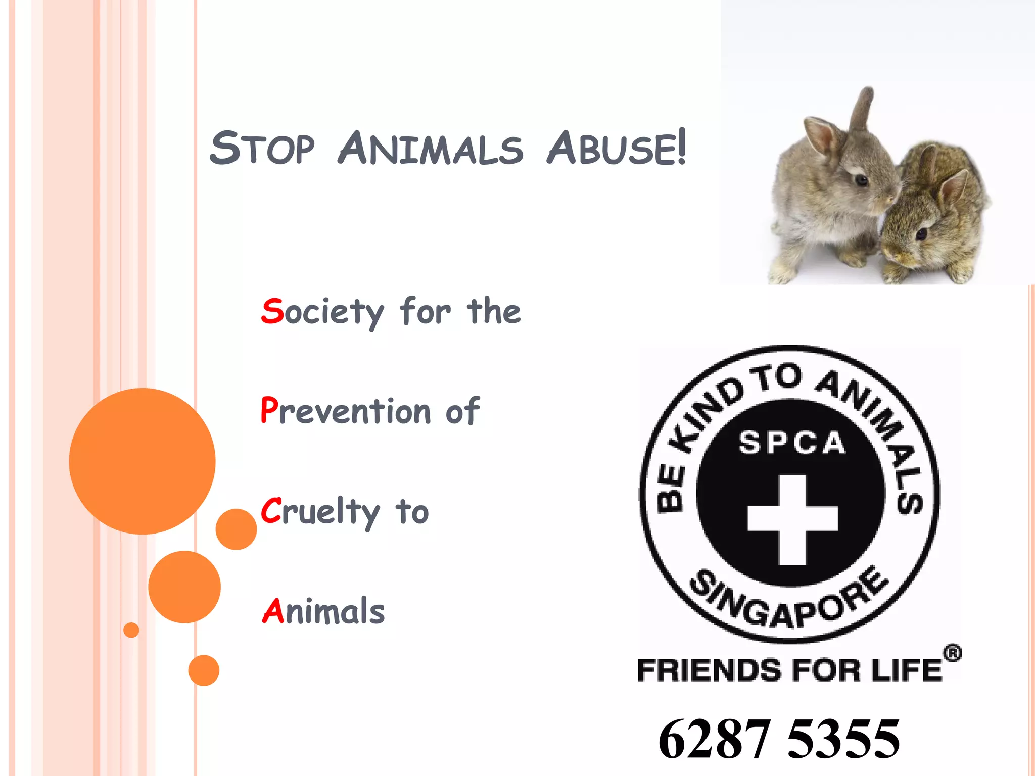 Sin eng-46 - pet ranger stop animals abuse! | PDF