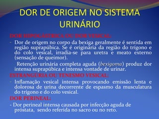 Sinais e sintomas urinários | PPT