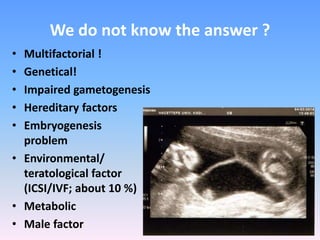 Si̇nan beksaç | PDF