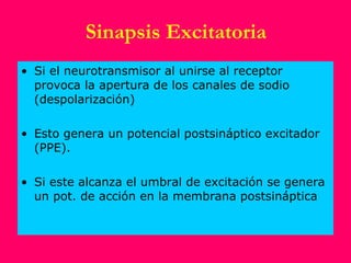 Sinapsis Biologia | PPT