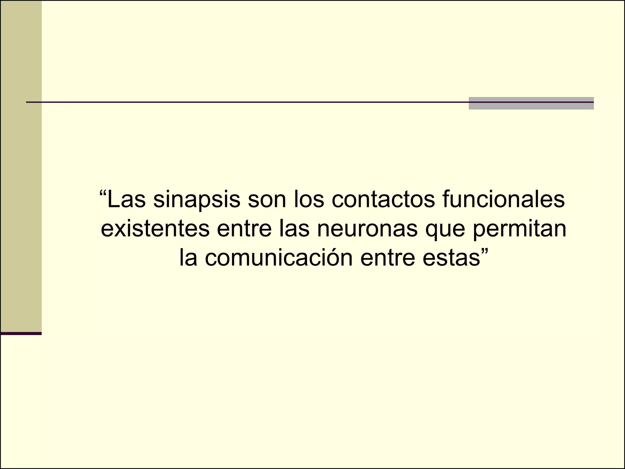 Sinapsis | PPT
