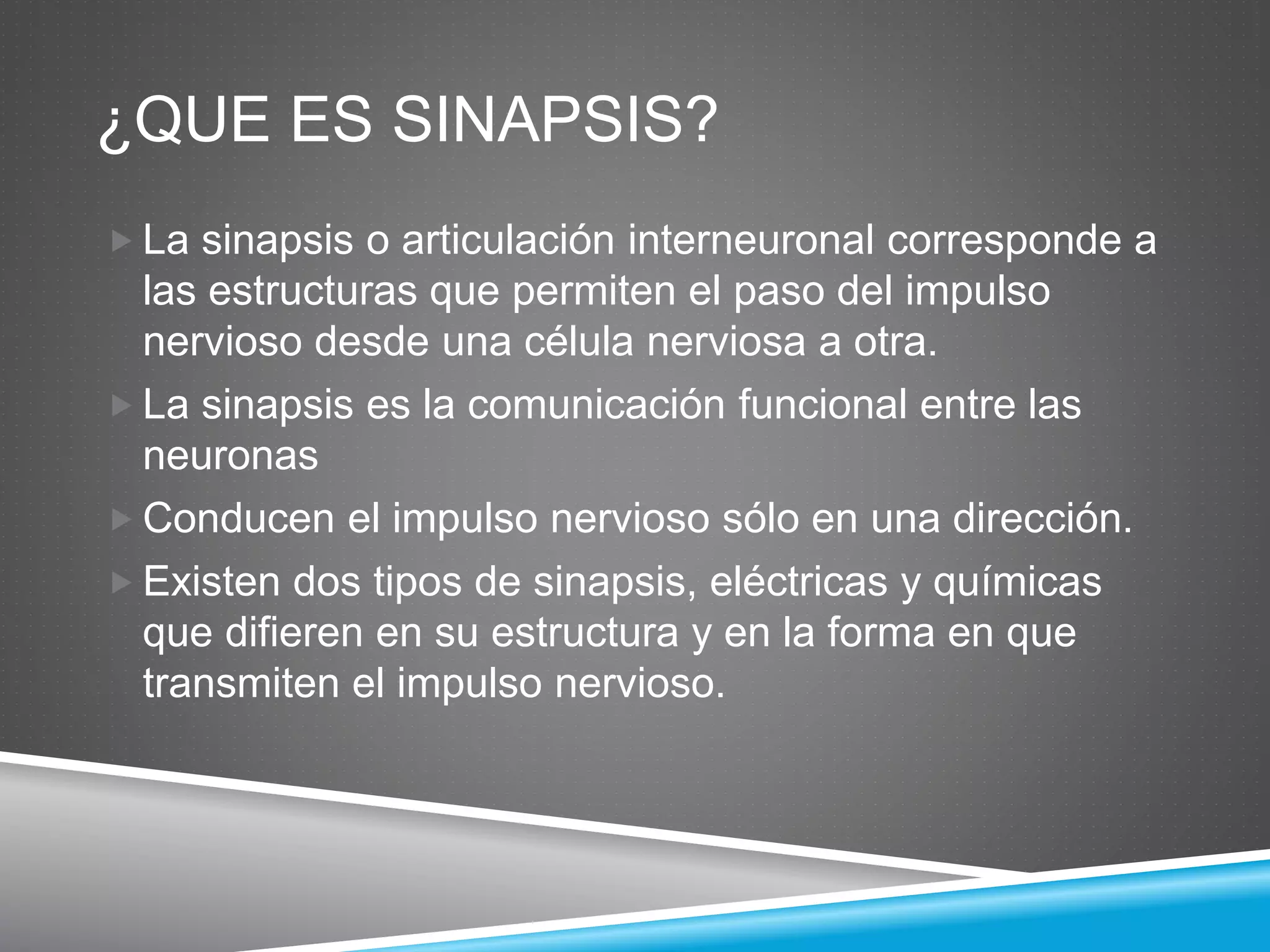 Sinapsis | PPT | Descarga gratuita