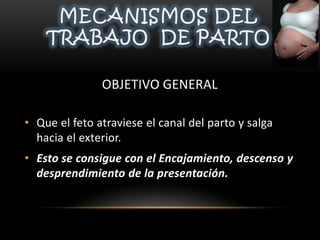 Sinclitismo y asinclitismo | PPTX