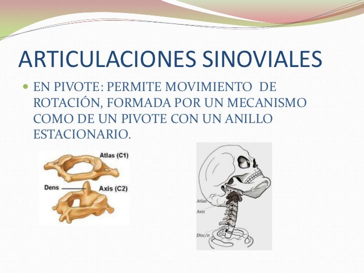 Sindesmología o artrología