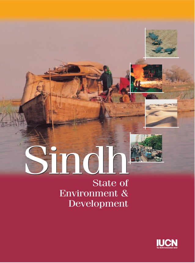 Sindh: State of Environment and Development Plan | PDF