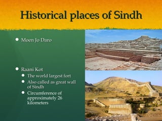 Sindhi culture | PPT