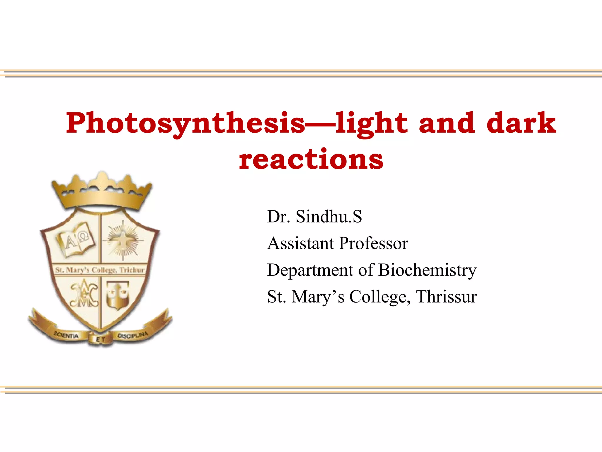 Biochemistry:Photosynthesis—light and dark reactions | PPT