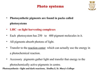 Biochemistry:Photosynthesis—light and dark reactions | PPT