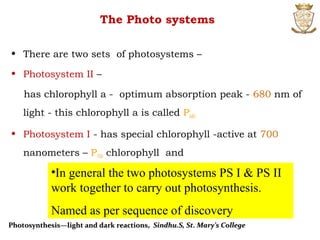 Biochemistry:Photosynthesis—light and dark reactions | PPT