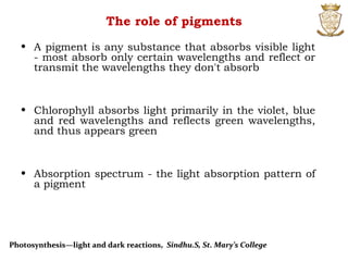 Biochemistry:Photosynthesis—light and dark reactions | PPT