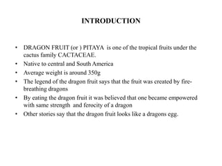 DRAGON FRUIT PPT | PPTX