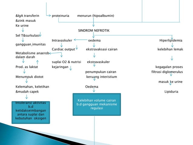 Sindrom nefrotik | PPTX