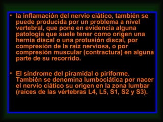 SINDROME DEL PIRIFORME | PPT