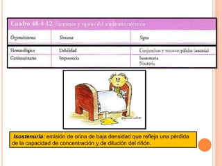 Sindrome uremico grupo 5 | PPTX