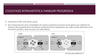Sindrome colestasico | PPTX