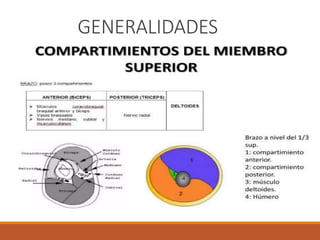 sindrome compartimental.pptx
