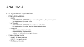 SINDROME COMPARTIMENTAL en traumatologia | PPTX