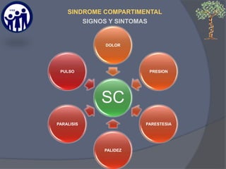 Sindrome compartimental | PPTX