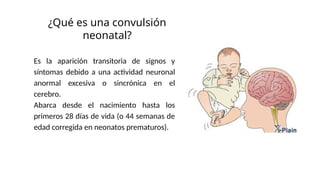 Sindrome convulsivo neonatal y febril.pptx