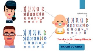Sindrome cri du chat | PDF