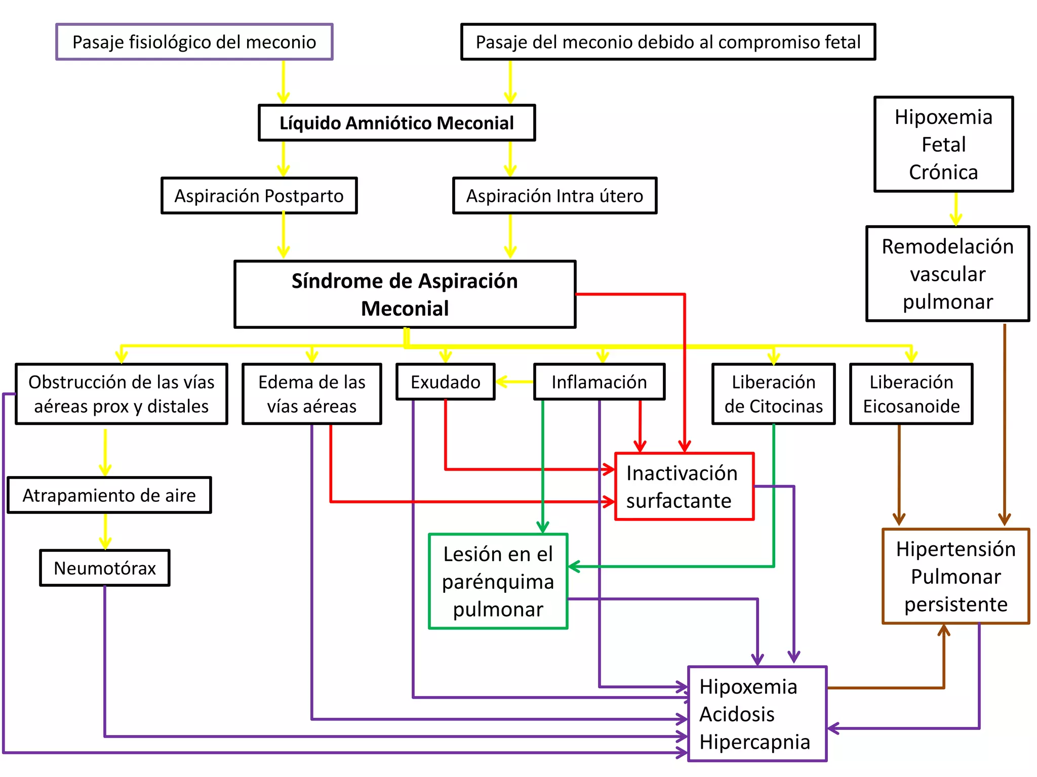 Sindrome de aspiracion meconial | PPTX