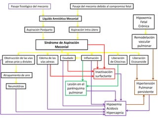 Sindrome de aspiracion meconial | PPTX