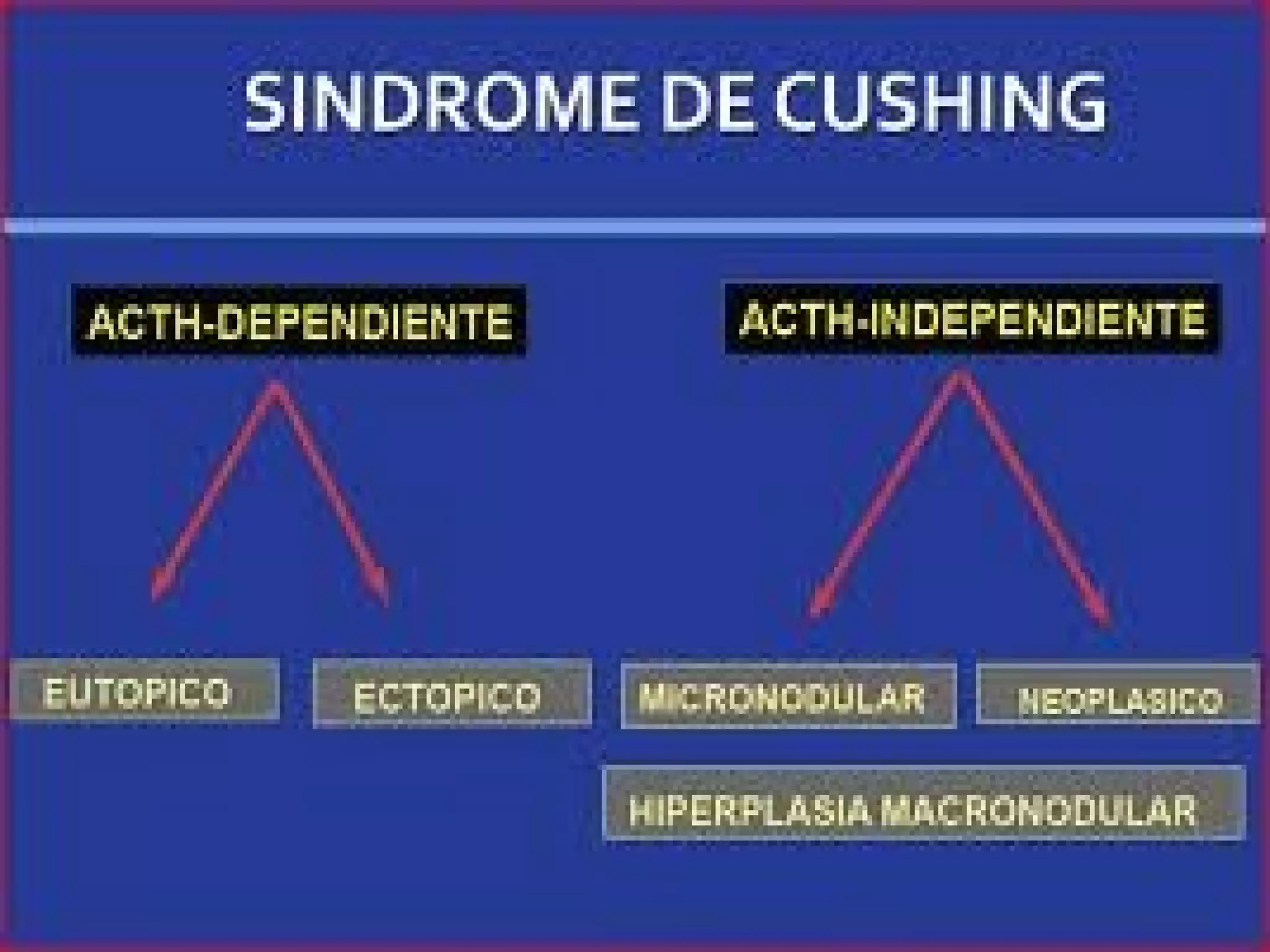 Sindrome de cushing | PPT