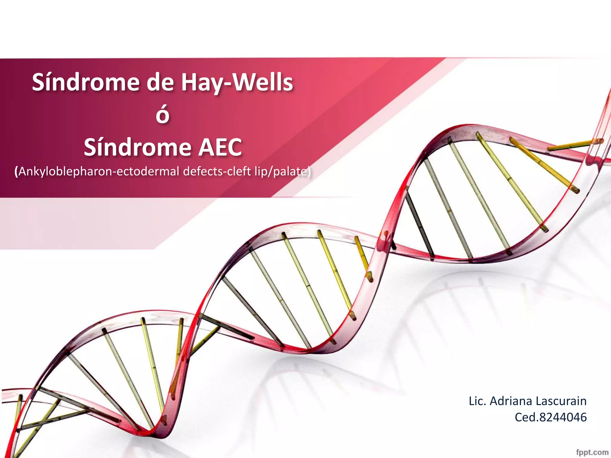 Síndrome de Hay-Wells o Síndrome AEC | PPT