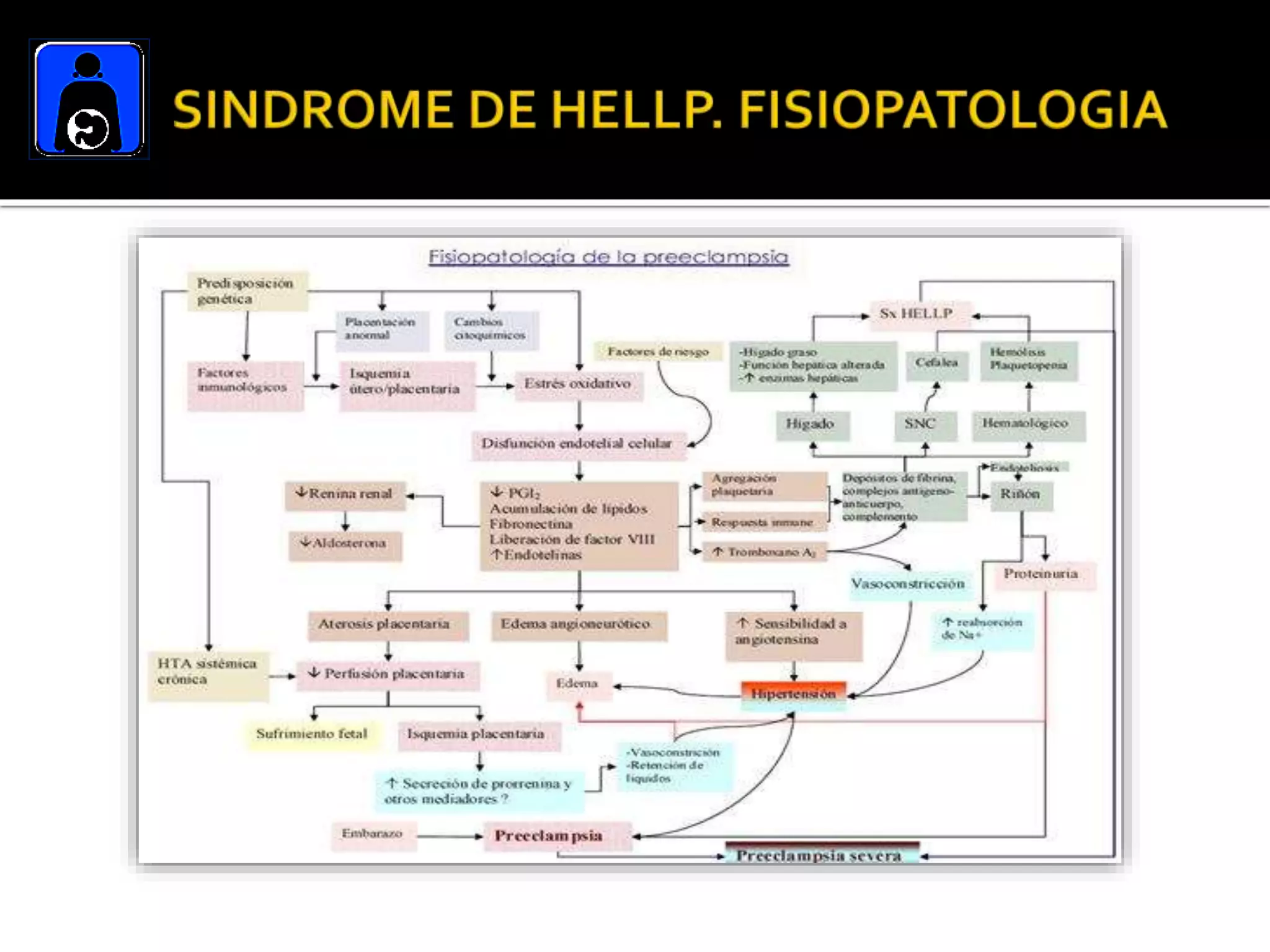 Sindrome de hellp | PPTX | Blood Disorders | Diseases and Conditions