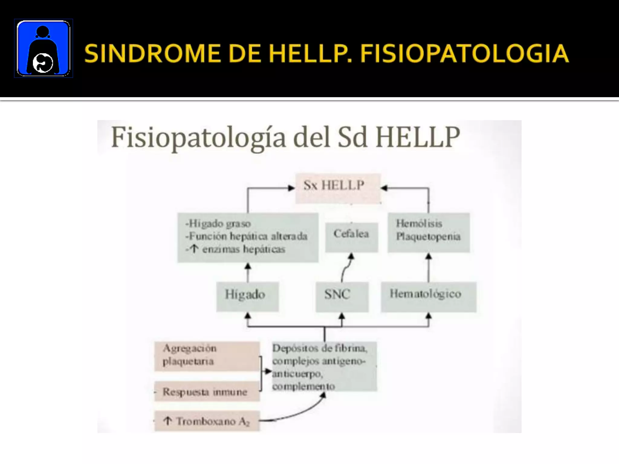 Sindrome de hellp | PPTX | Blood Disorders | Diseases and Conditions