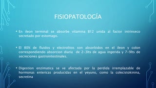 Sindrome de intestino corto | PPTX