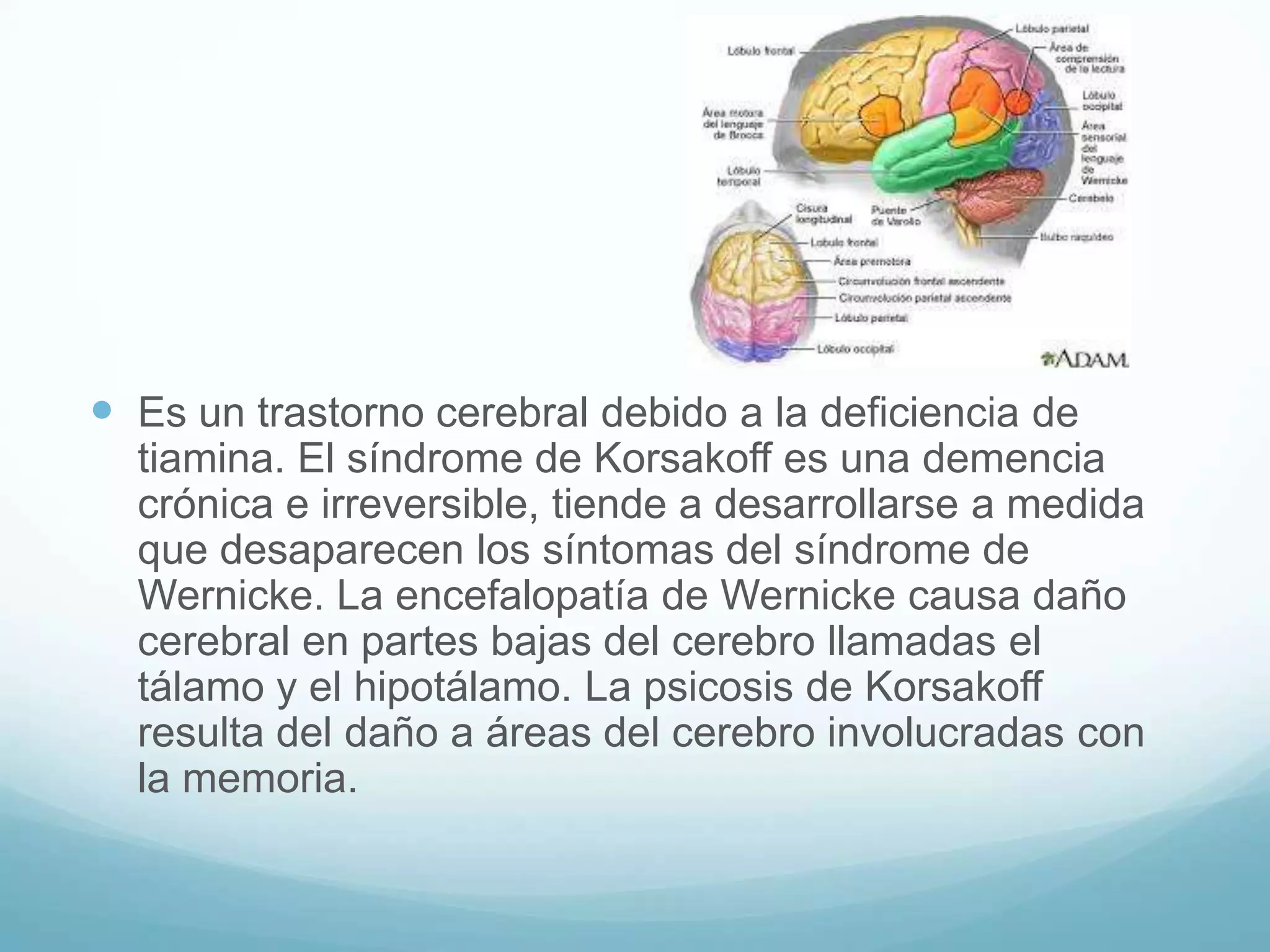 Sindrome de korsakoff | PPTX