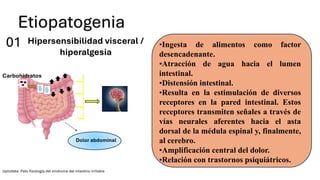 Sindrome del intestino irritable, tratamientos | PDF